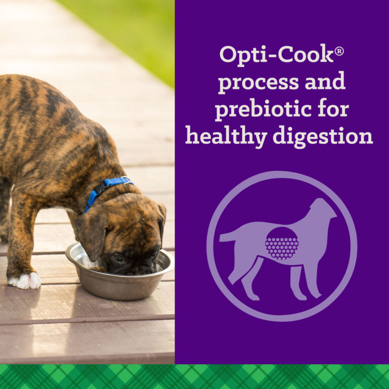 Nutrena True Puppy Food