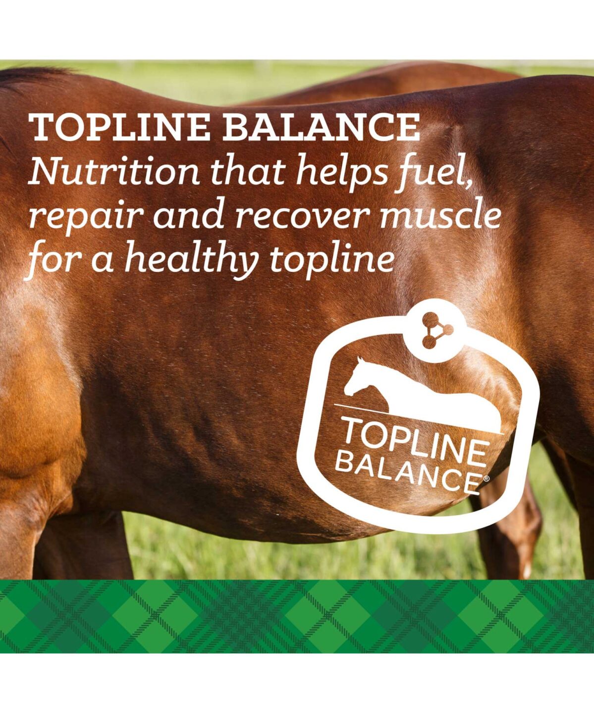Empower Topline Balance