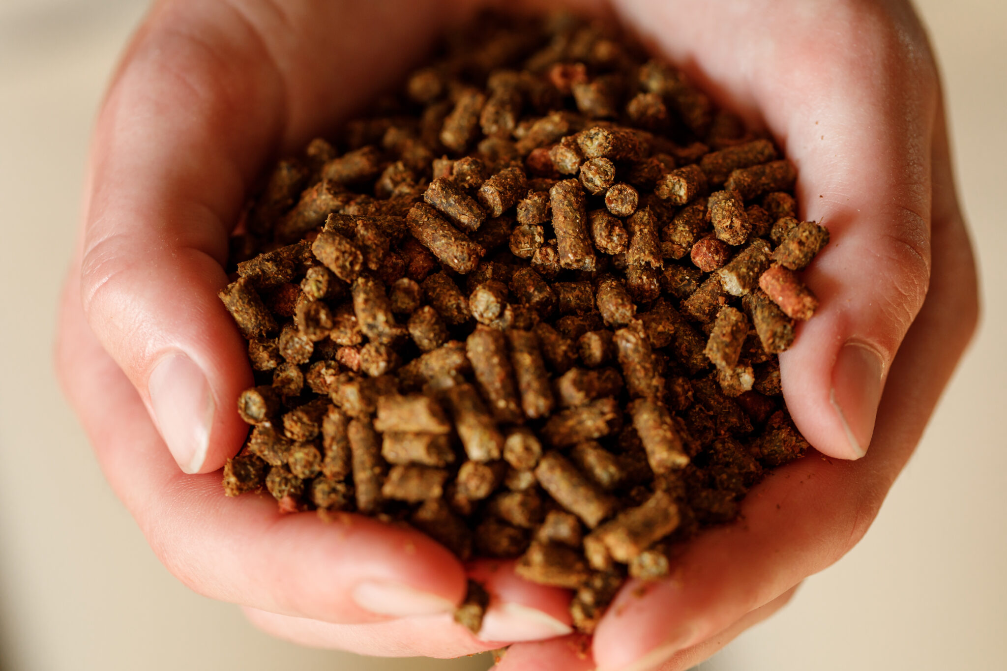 The Health Benefits of Fermentation for Horses: Strengthening Gut ...