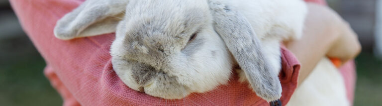 NatureWise 18% Performance Rabbit Feed