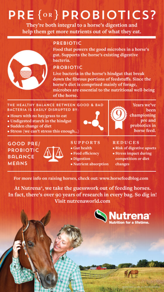 Prebiotics and Probiotics in Horse Feed