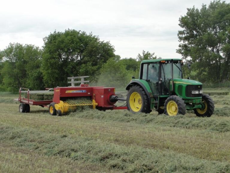 Ask the Expert: Feeding Preservative Treated Hay