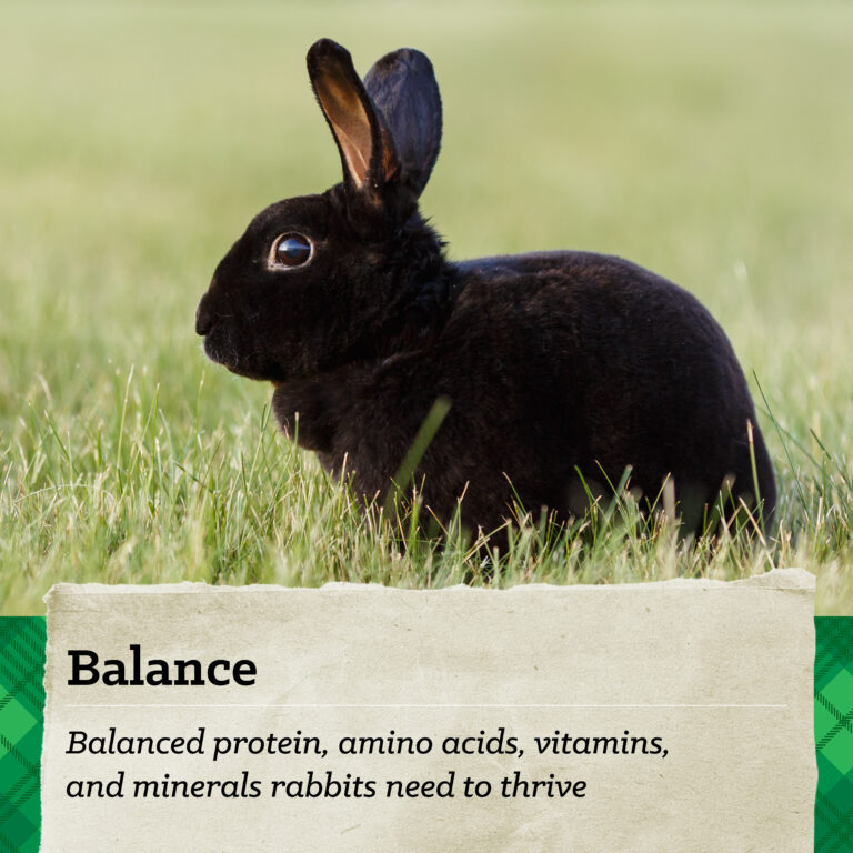 NatureWise 15% Premium Rabbit Feed