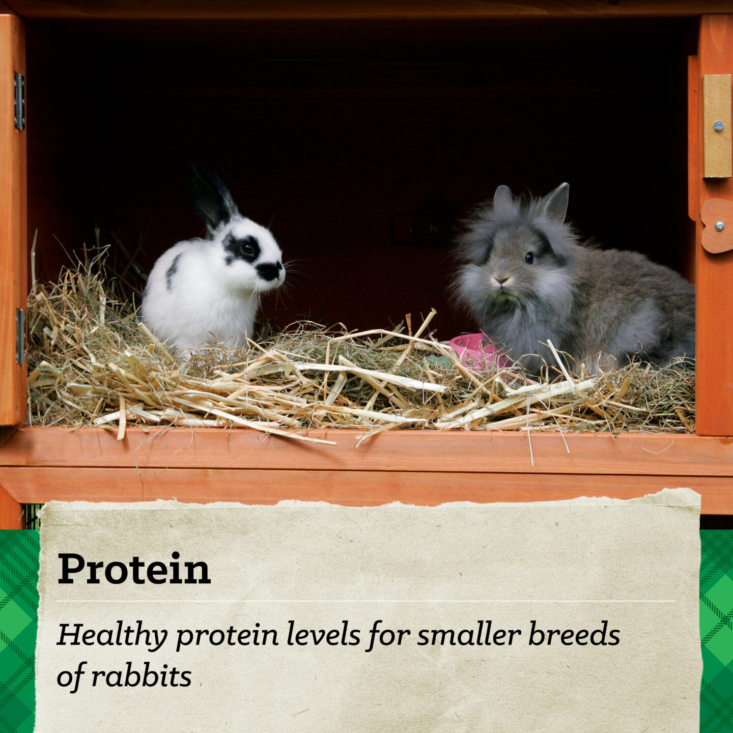 NatureWise 15% Premium Rabbit Feed