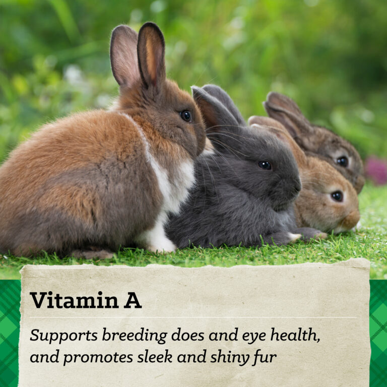 NatureWise 15% Premium Rabbit Feed