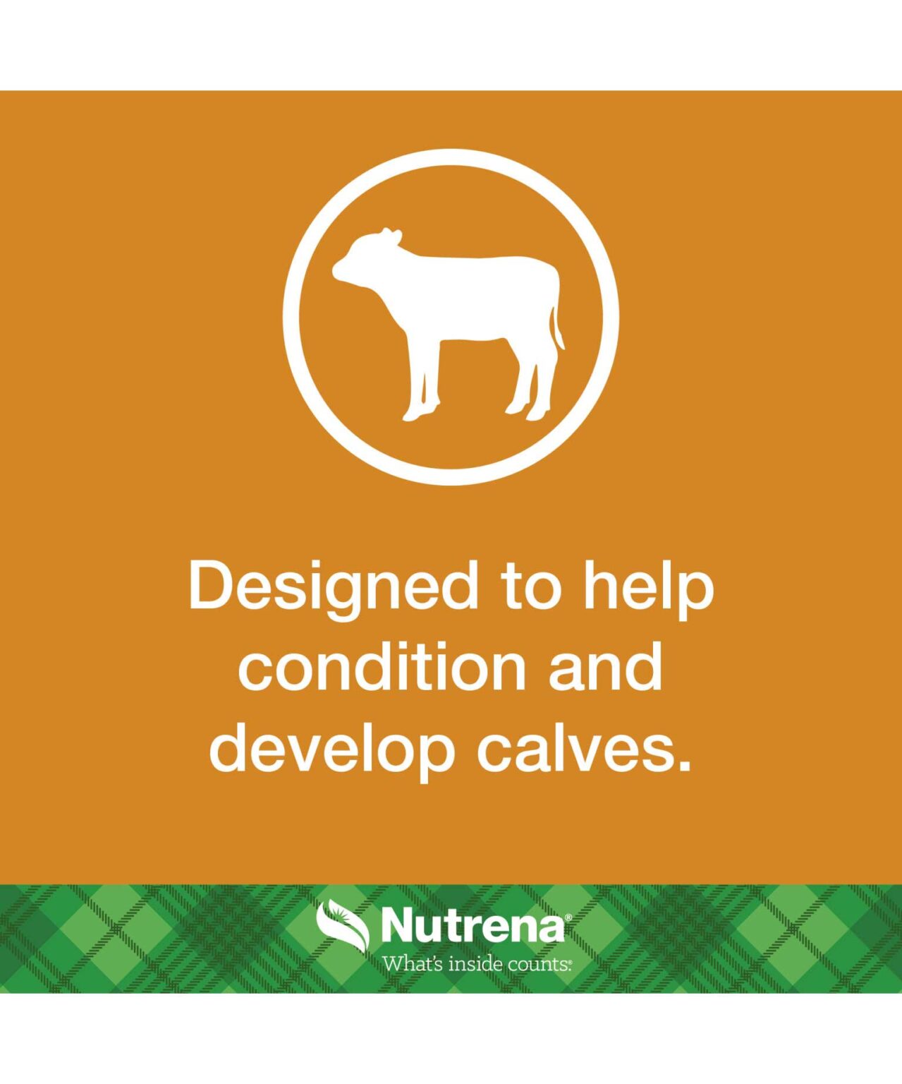 NutreBeef Grower/Finisher Feed | Nutrena Animal Feeds