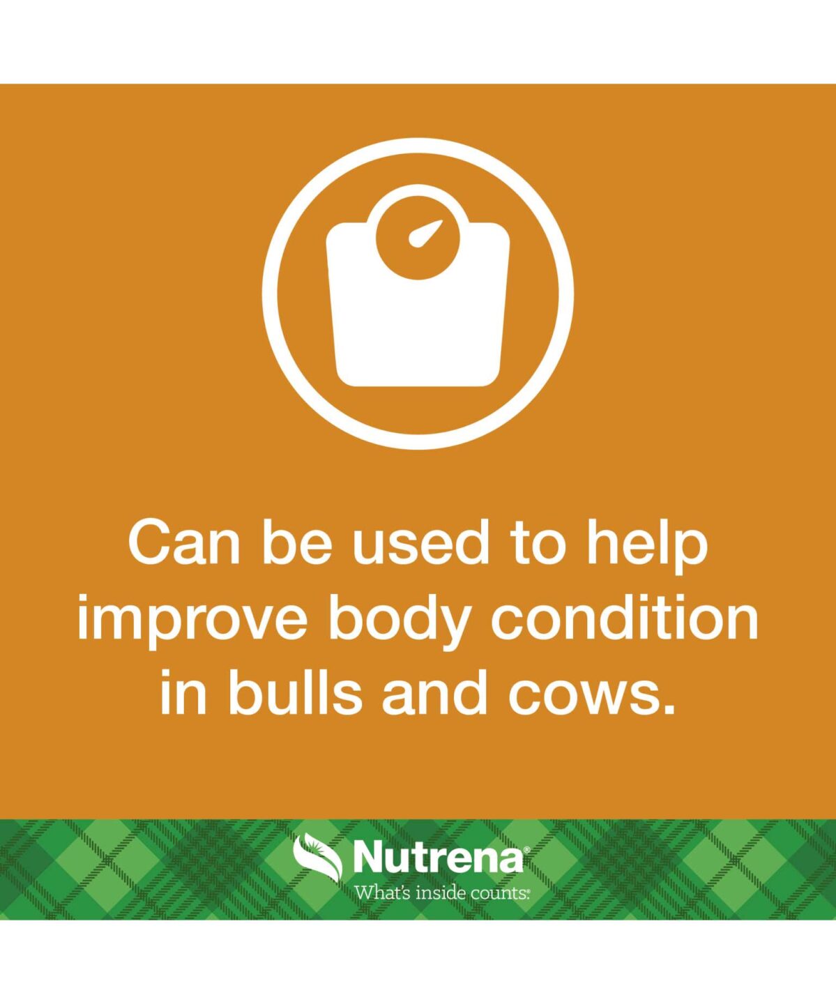 NutreBeef Grower/Finisher Feed | Nutrena Animal Feeds