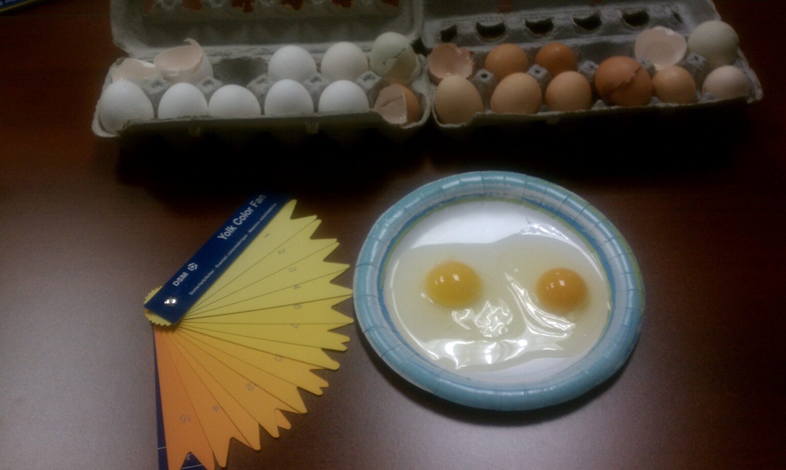6 Egg Myths Solved!