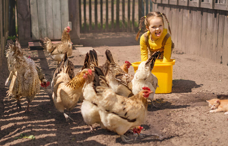 Kids & Chickens: Bathing Chickens and other adventures