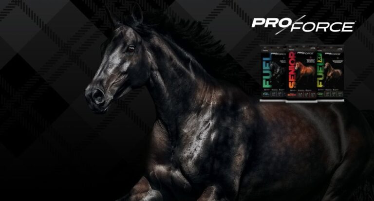 Horse Education | Nutrena Animal Feeds Horse Education