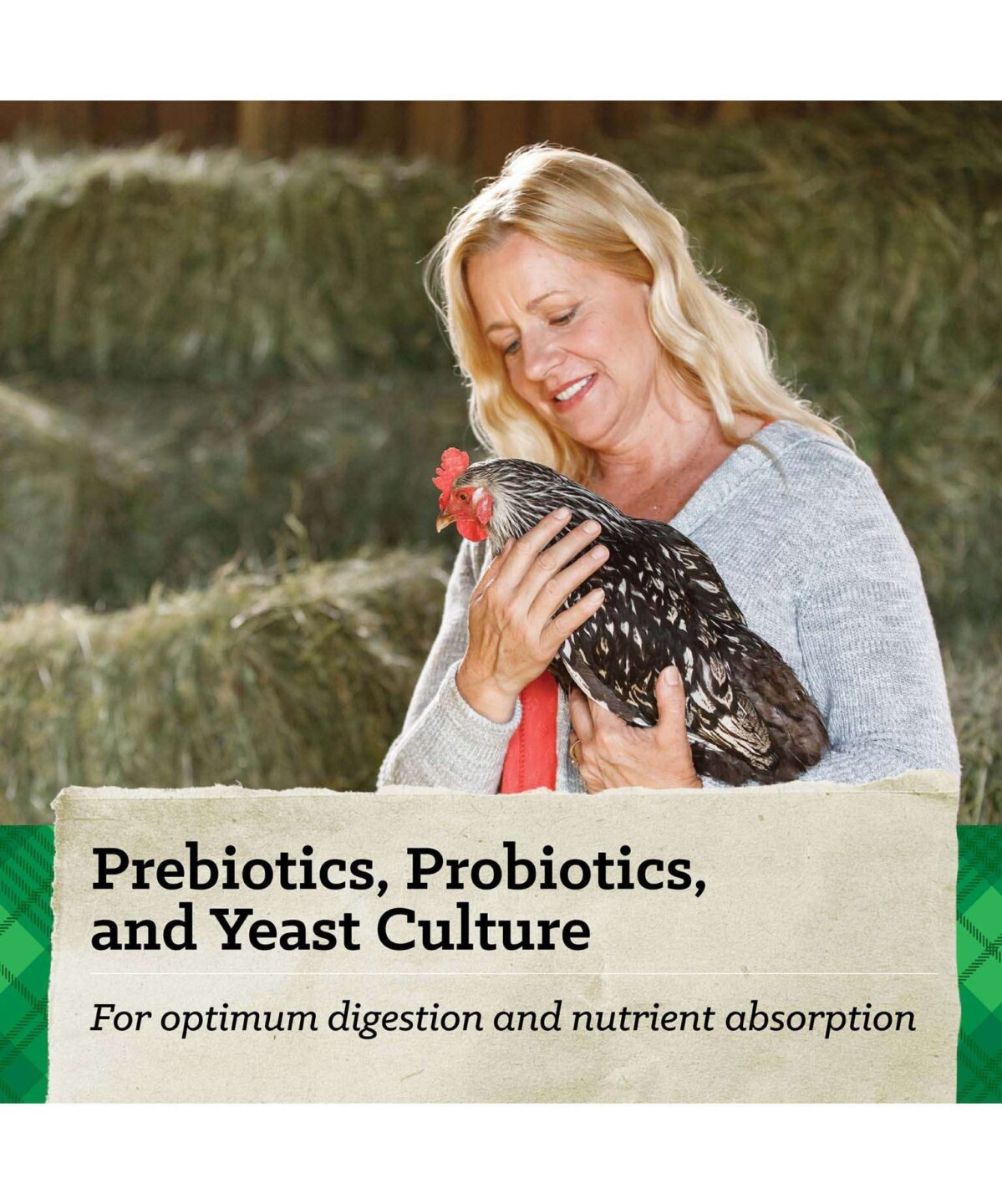 Harvest Blend 18% Textured Layer Feed | Nutrena Animal Feeds