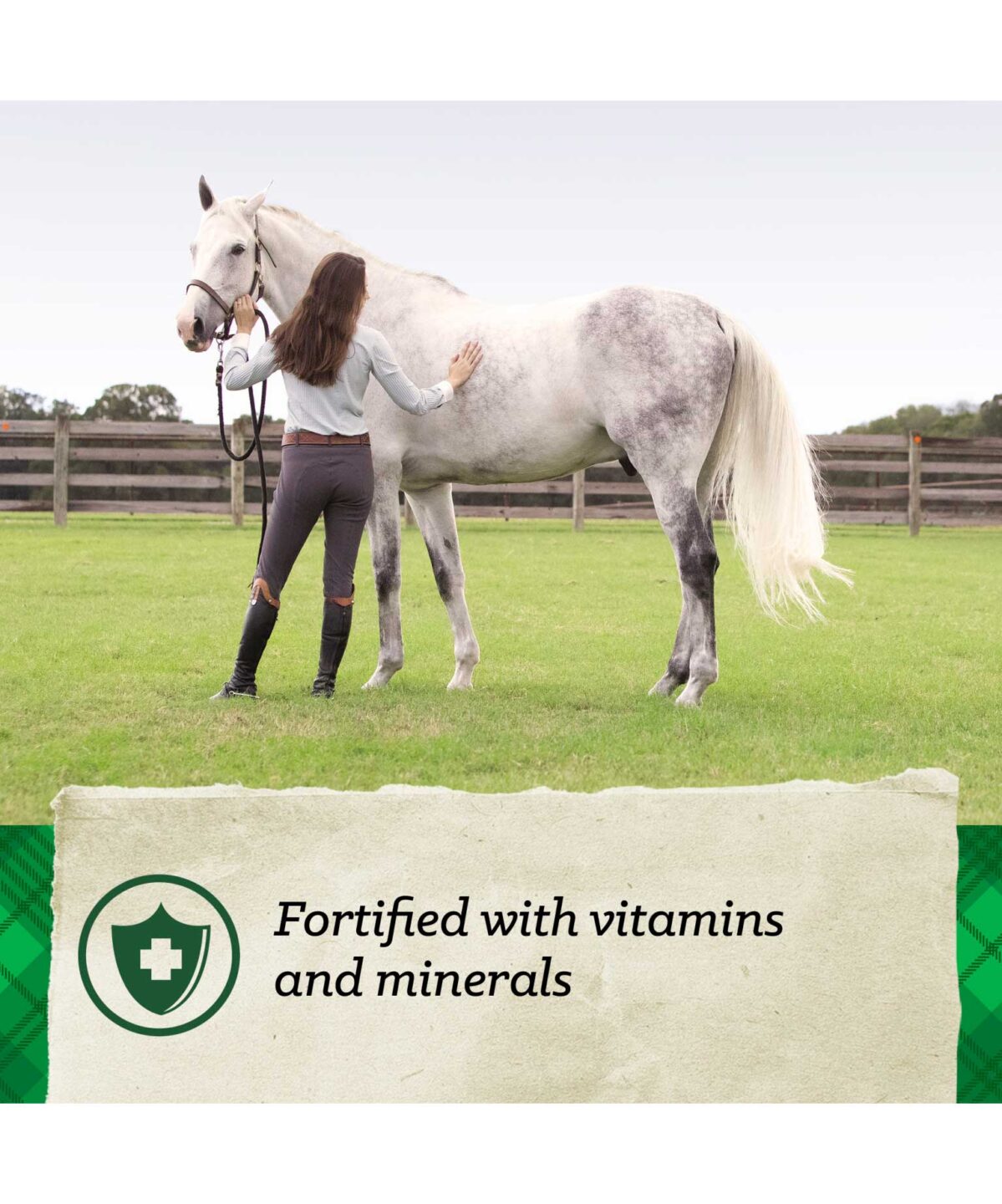 Triumph 12-8 Horse Feed | Nutrena Animal Feeds