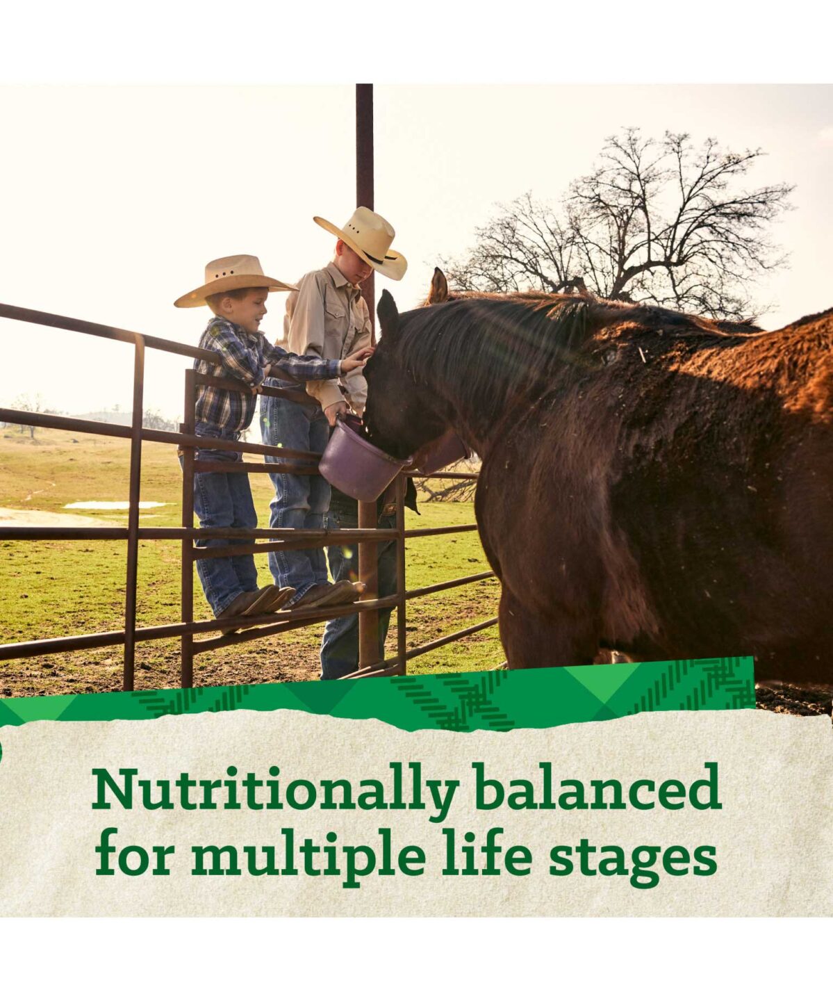 Triumph Professional Pellet Horse Feed | Nutrena Animal Feeds