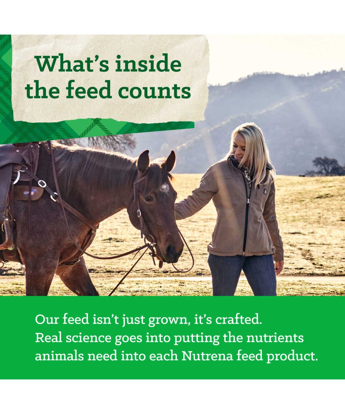 Triumph 12-8 Horse Feed | Nutrena Animal Feeds