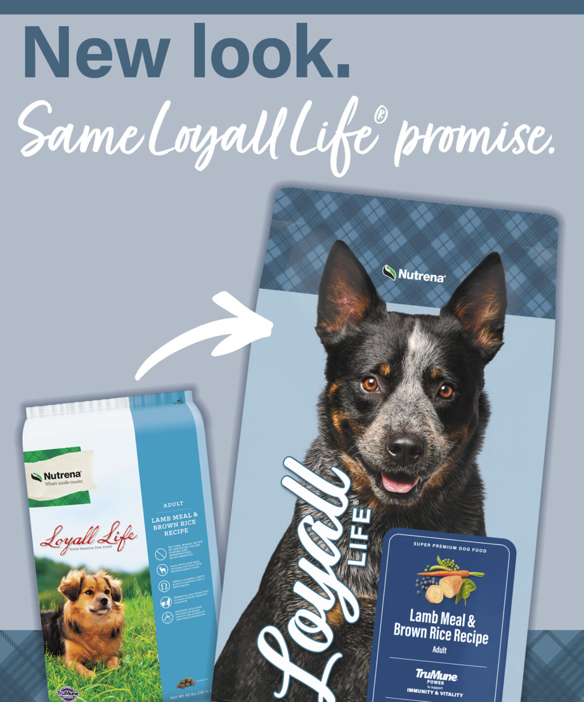 Loyall Life Lamb Meal & Brown Rice Recipe