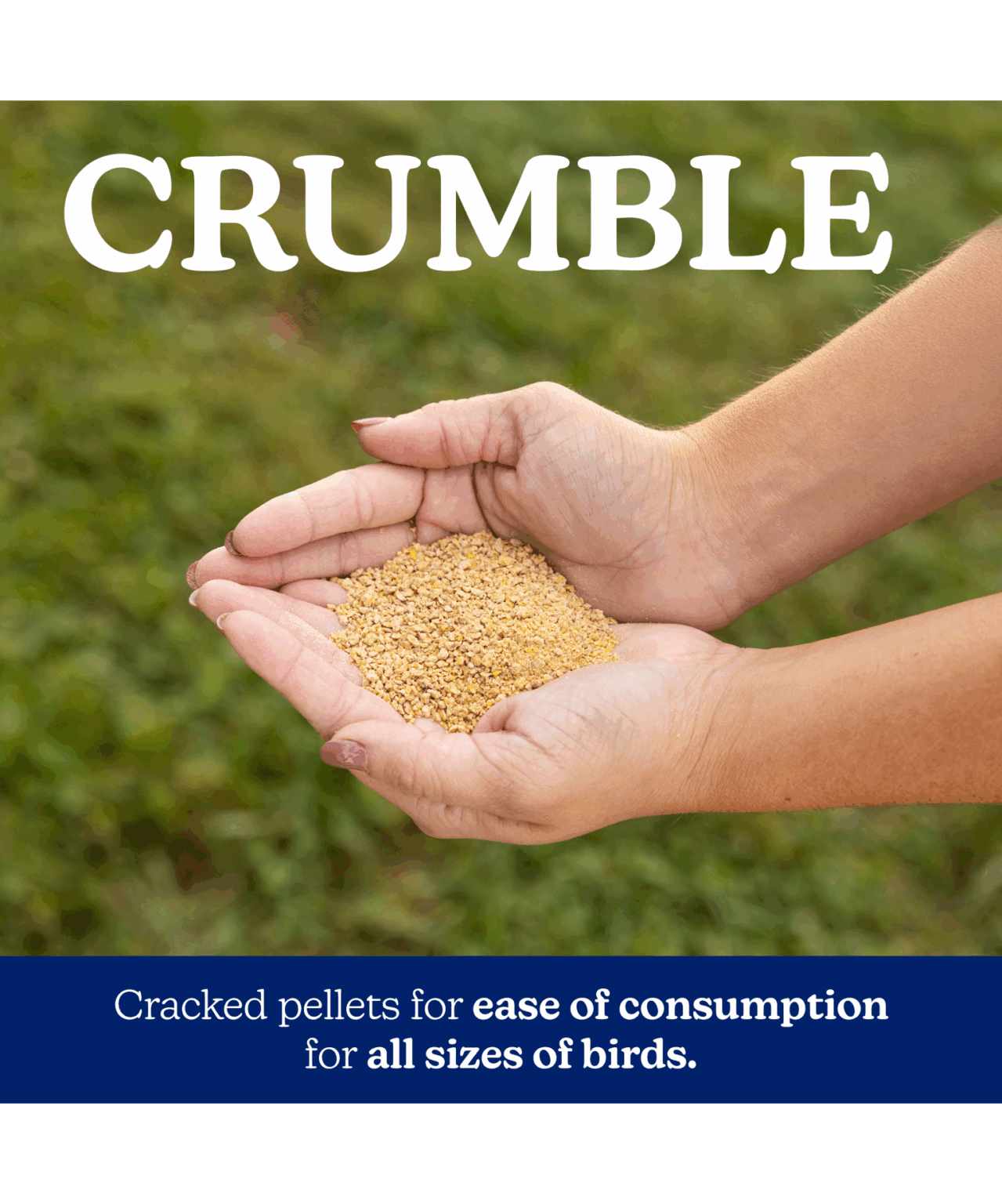 NatureWise Chick Starter Grower 18% Protein Crumble Non-Medicated