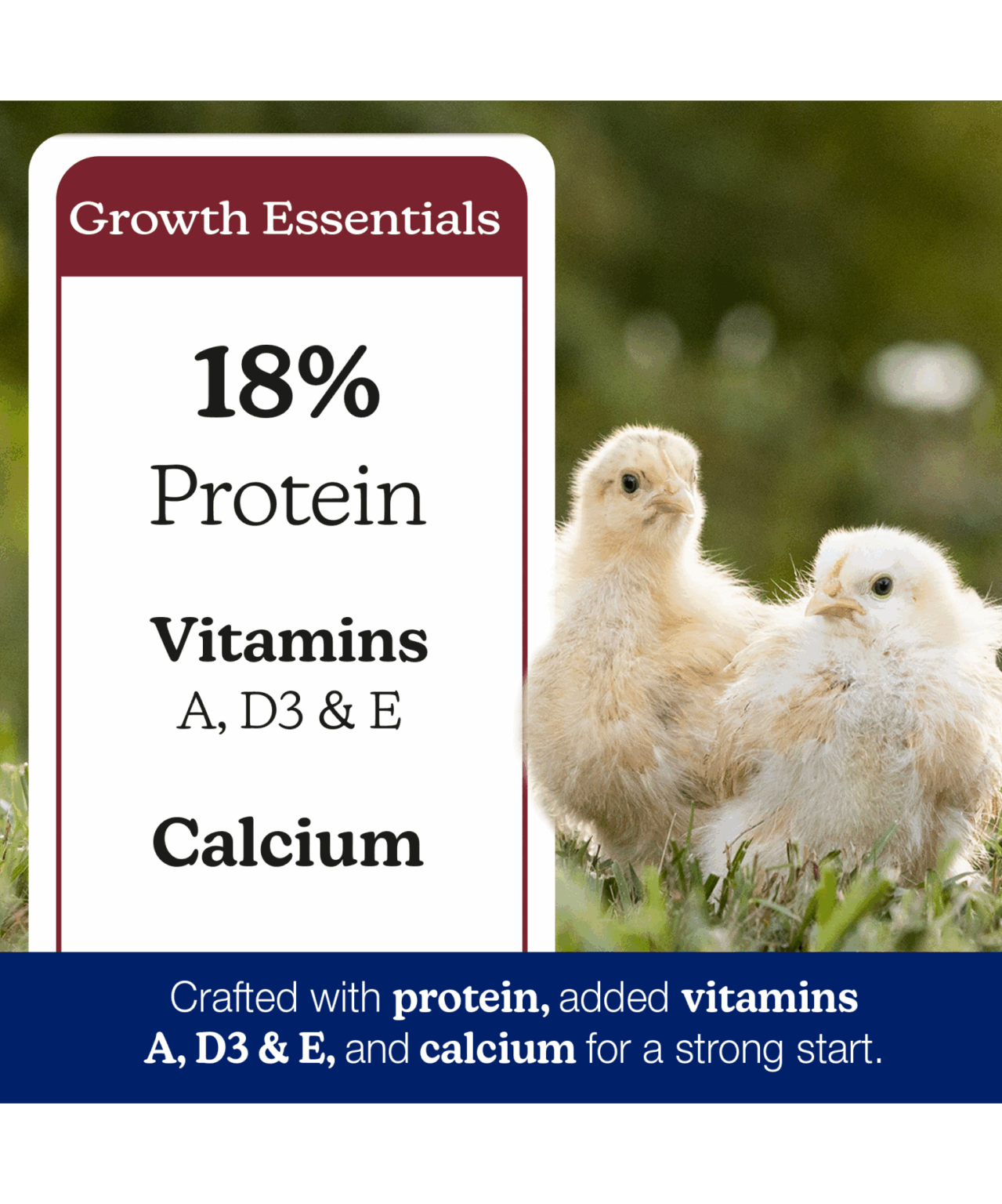 NatureWise Chick Starter Grower 18% Protein Crumble Non-Medicated
