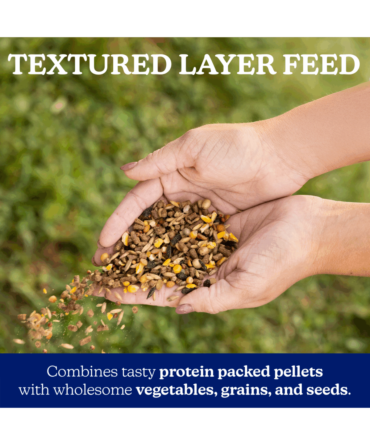 NatureWise Harvest Blend 18% Protein Textured Layer Feed | Nutrena ...