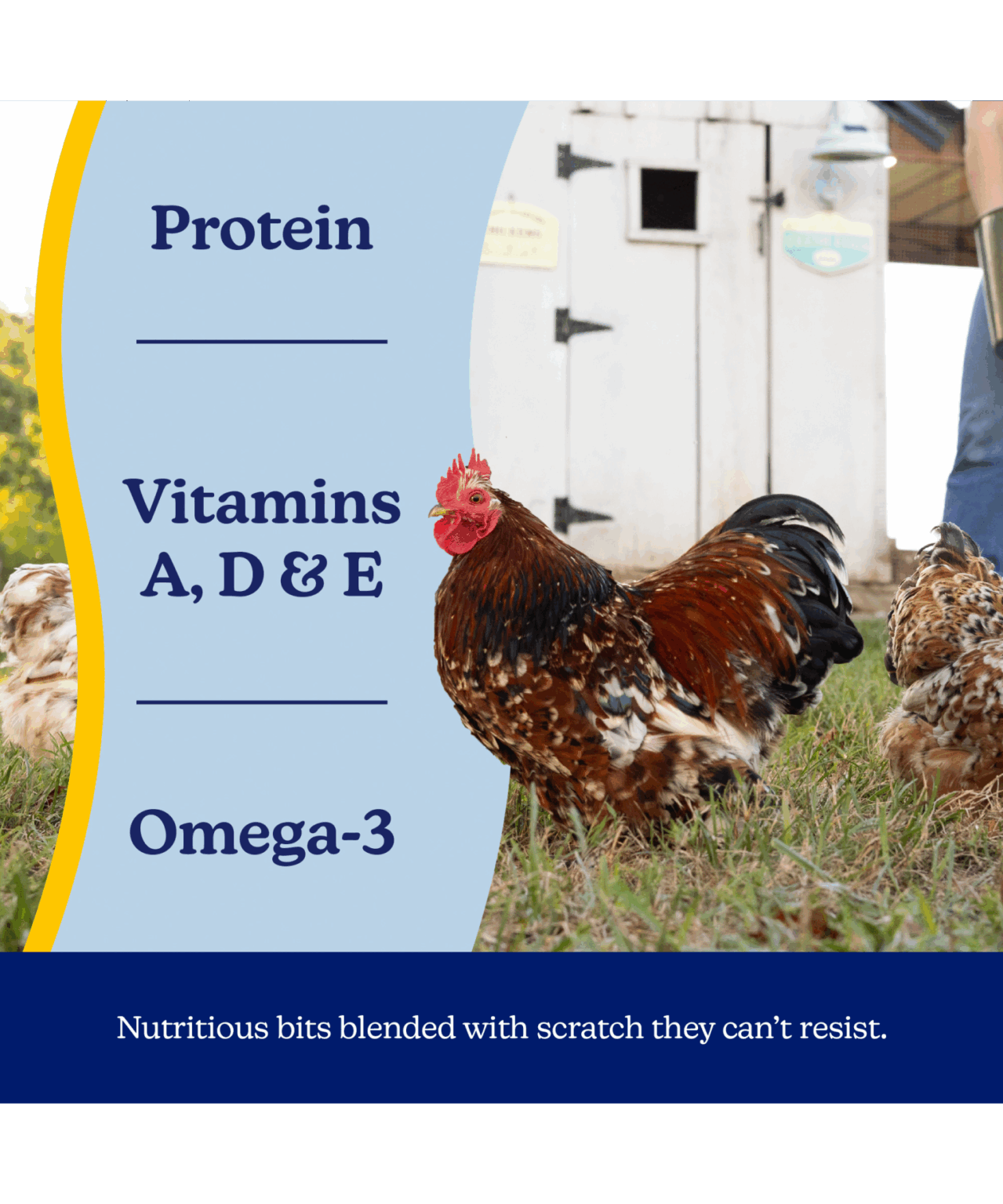 NatureWise TidBits Healthy Egg Poultry Treats | Nutrena Animal Feeds
